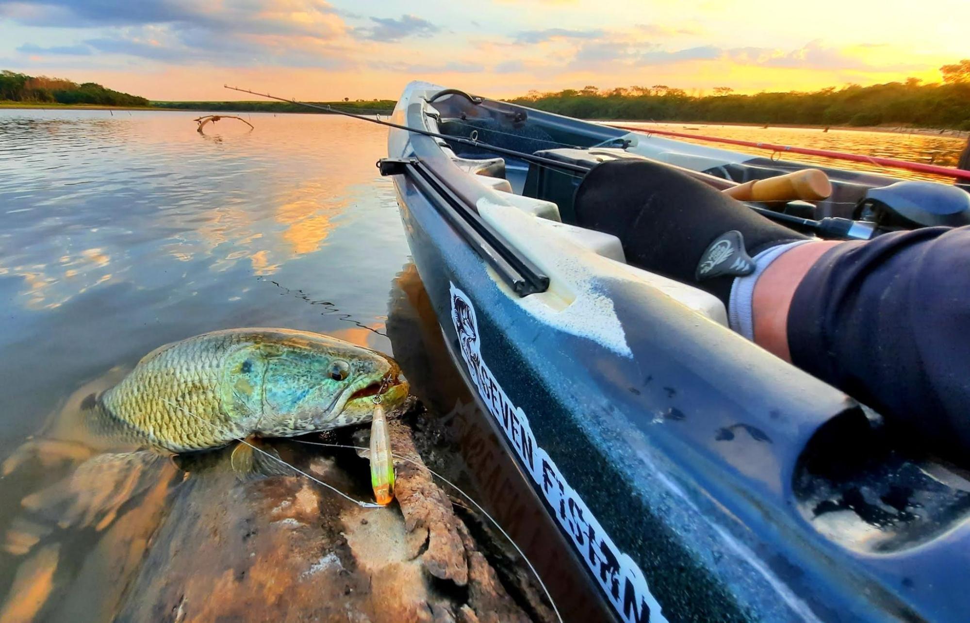 Dicas para ter sucesso na pescaria de traíra - Agrosete