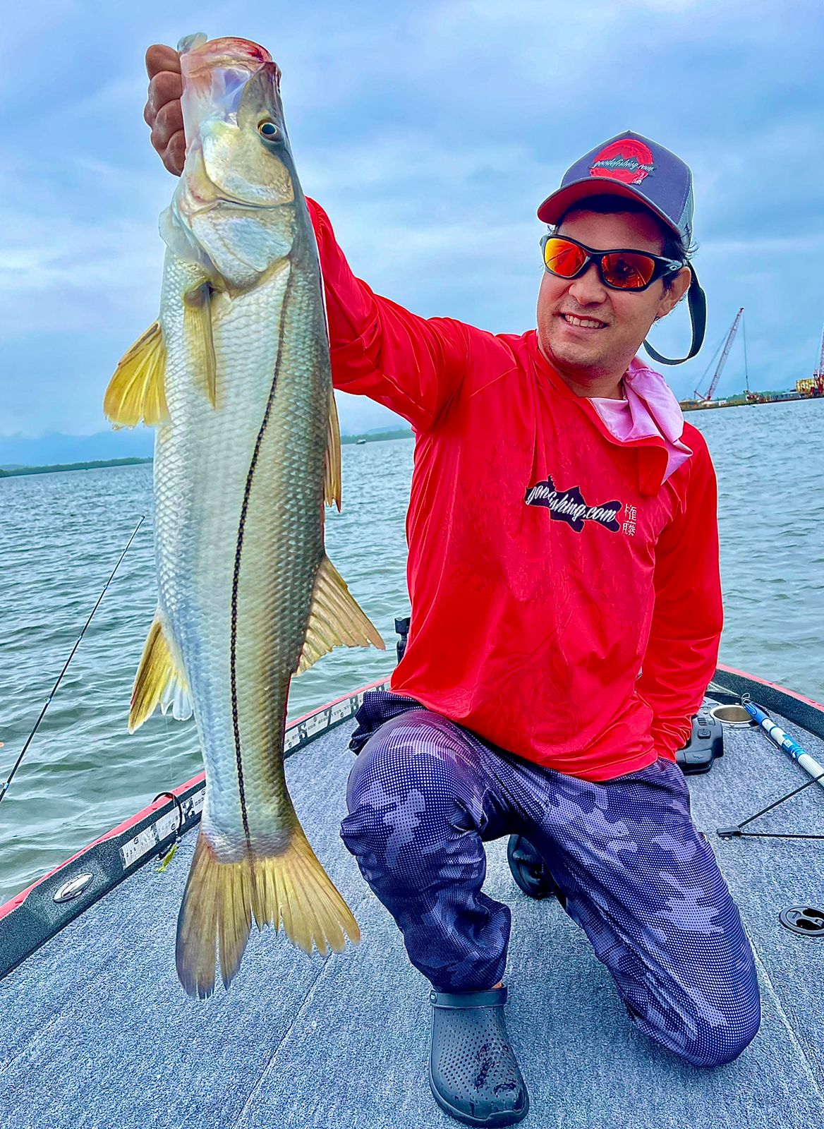 Pesca de robalo: como começar no hobby - Agrosete