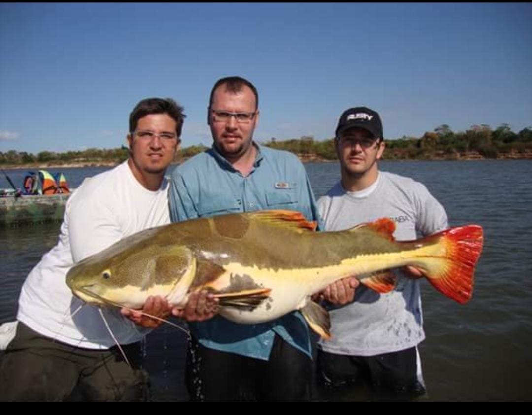 Pesca de pirarara: confira 6 segredos para vencer esse desafio - Agrosete